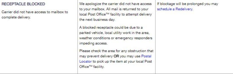 What Does In Transit Mean? USPS, FedEx and Shein