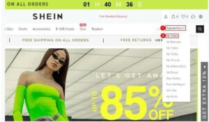 What Does In Transit Mean? USPS, FedEx and Shein